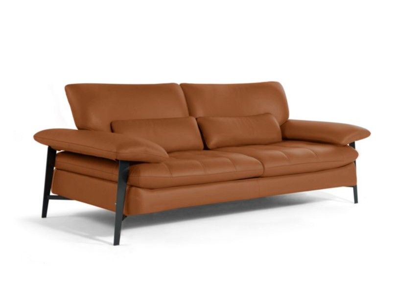 Canape Cuir Roche Bobois