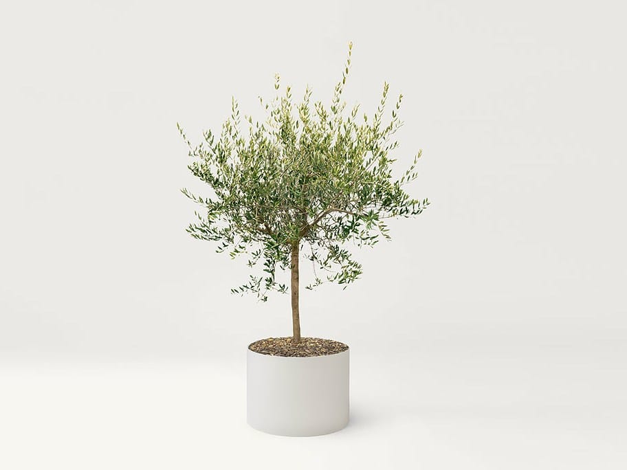 Stainless steel plant pot SHIELD By Paola Lenti design Bestetti ...