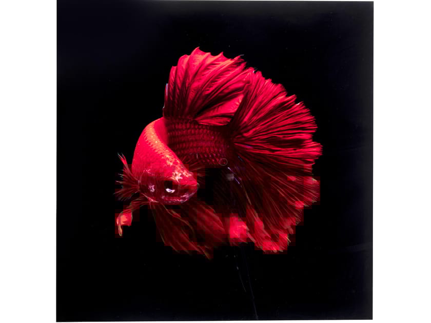 Polypropylene (Pp) Paintings | Archiproducts