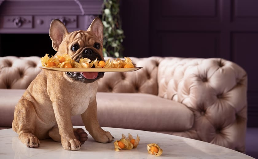 Polyresin pin tray BUTLER FRENCHY Butler Collection By KARE Design