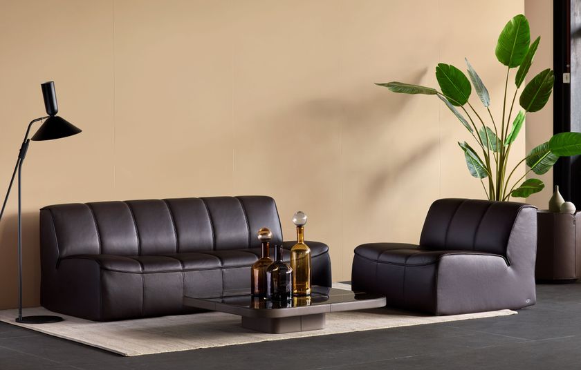 DS-910 Armchair By de Sede