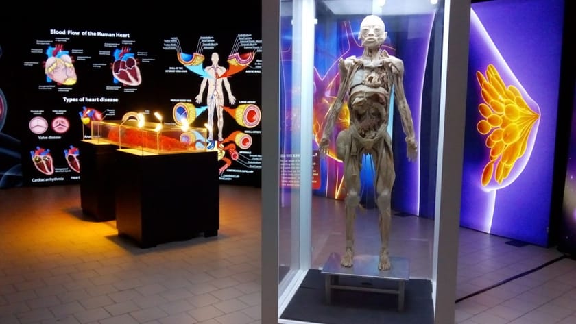 MUSEUMS SETUP Portable stand By ABS Group