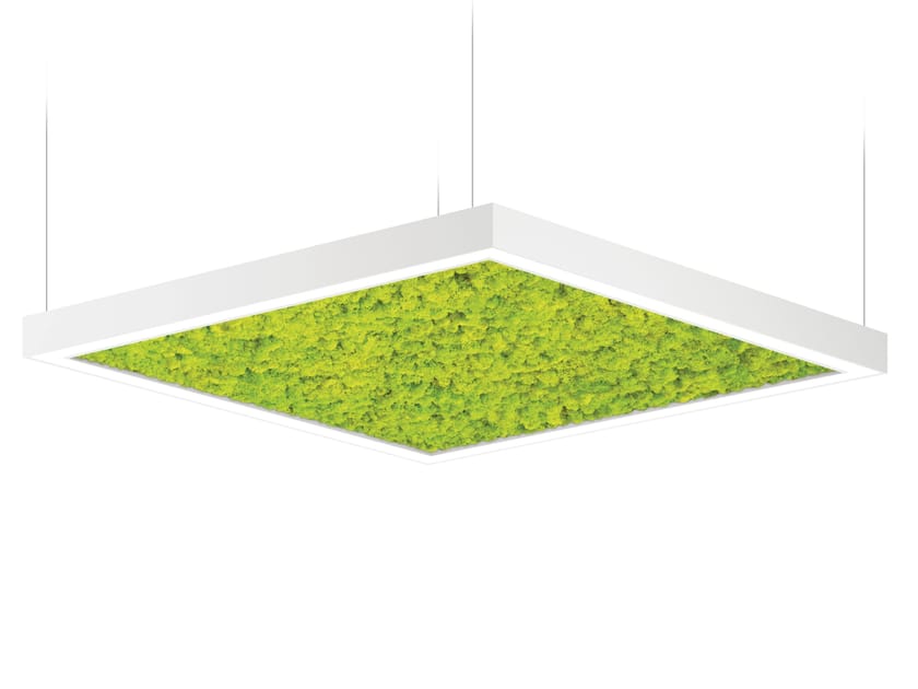 ACOUSTO SQUARE S-SDI LED acoustic Moss pendant lamp By Intra lighting