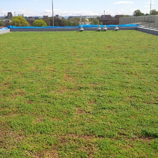 RENOLIT ALKORPLAN Green Roof garden system By RENOLIT ALKORPLAN
