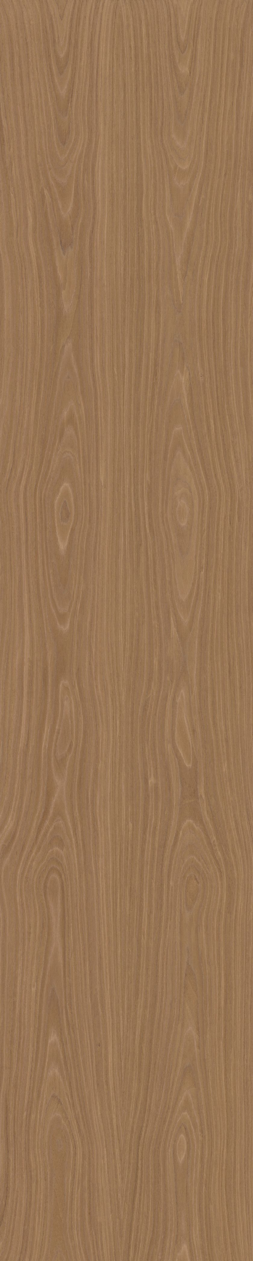 ALPI XILO NOCE ITALIANO FLAMED Wall tiles By ALPI | design Piero Lissoni