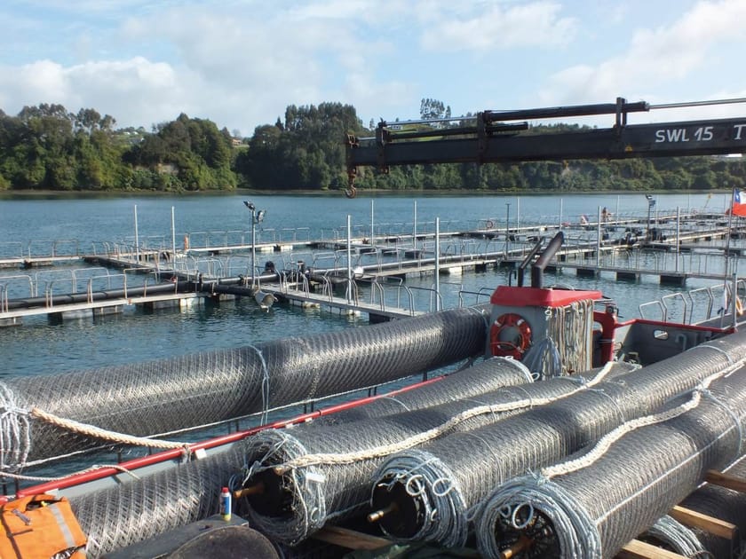 AQUA 80/2 Predator Nets By GEOBRUGG