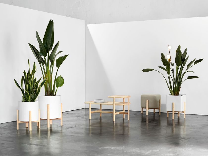 ASHI | Round plant pot By Hobby Flower