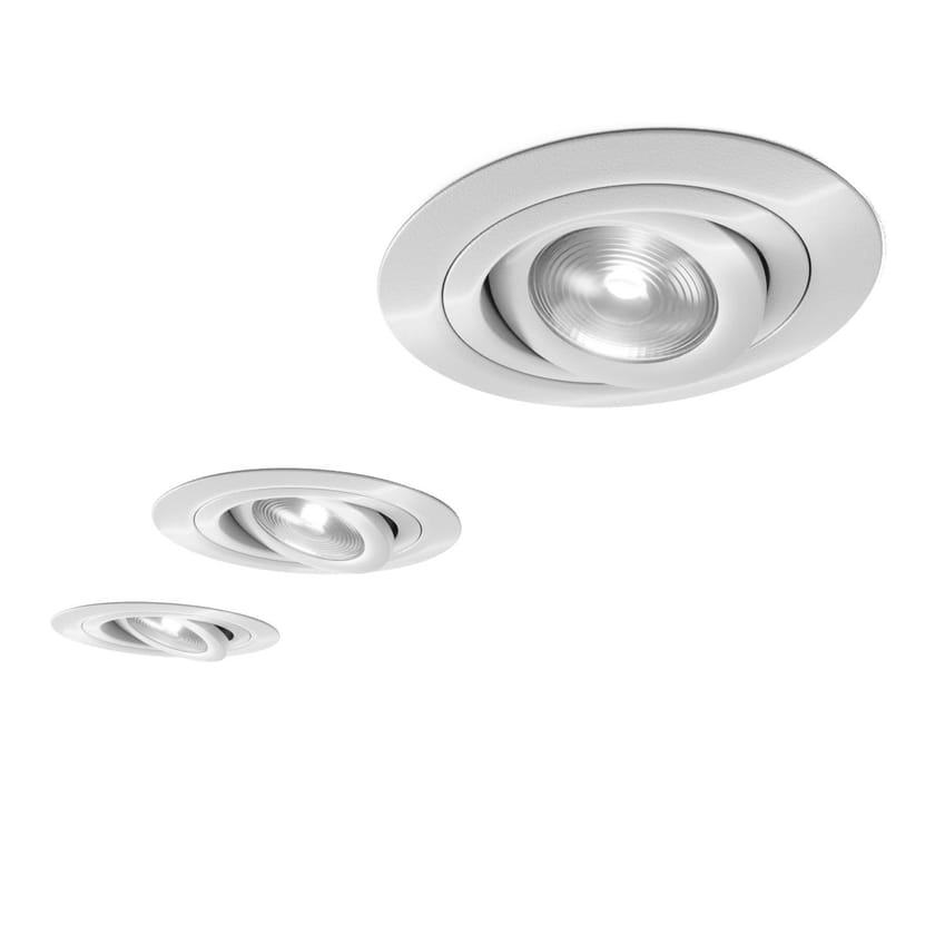 ROUND Spotlight By Amarcords