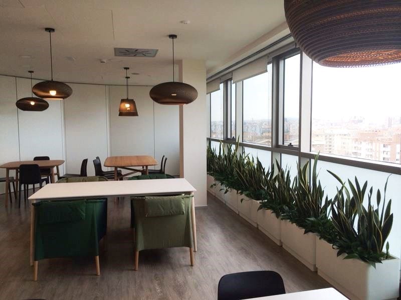 BASIC | Fioriera rettangolare By Hobby Flower