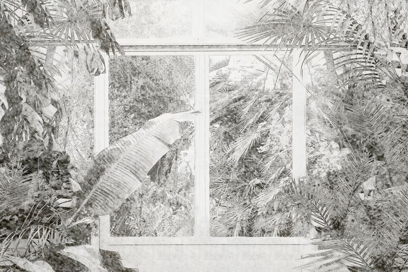 BOTANIST Wallpaper By GLAMORA