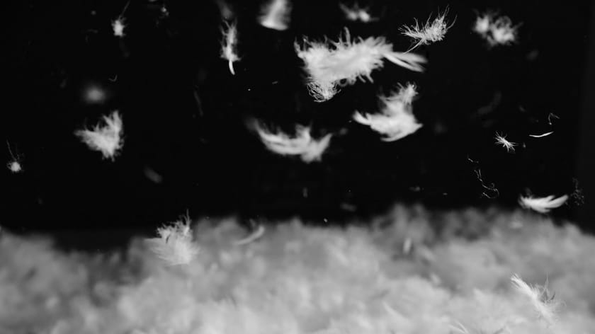 BRIGITTE 4 seater linen sofa with castors By Blasco