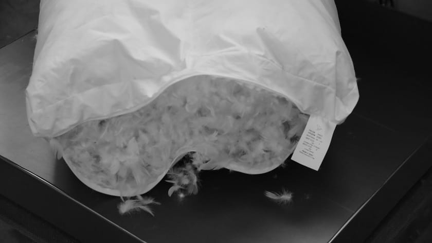 BRIGITTE 4 seater linen sofa with castors By Blasco