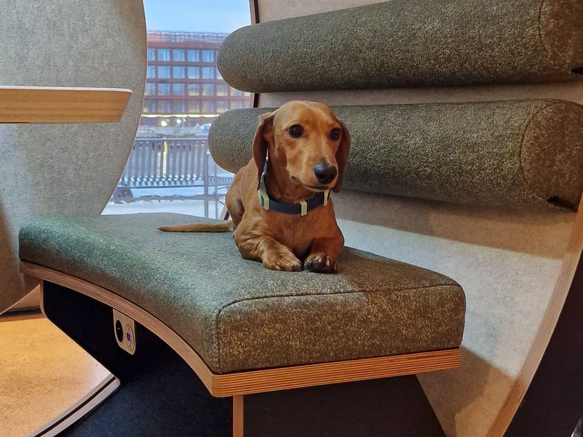 BlockO FOUR Office booth By BlockO.design