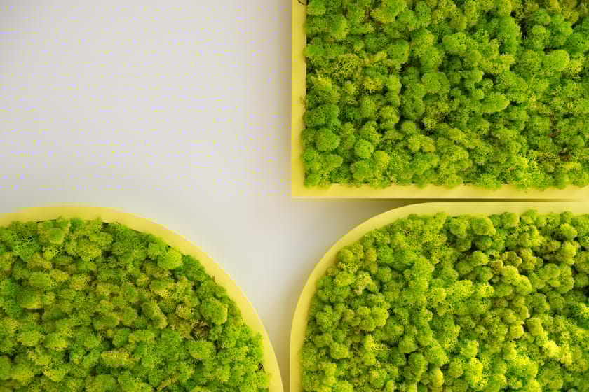 Acoustical wall panel BuzziMood By BuzziSpace design Cory Grosser