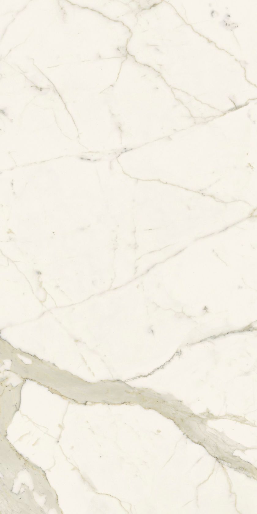 CALACATTA ACTIVE 地板 By FMG