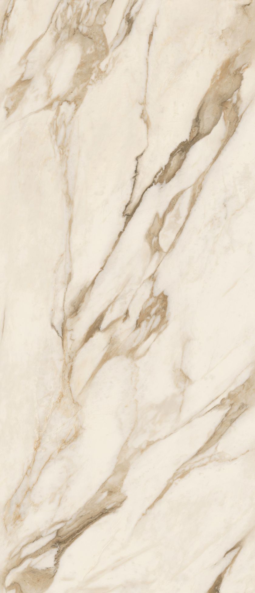CALACATTA BRIGHT wall tiles By Versace Ceramics