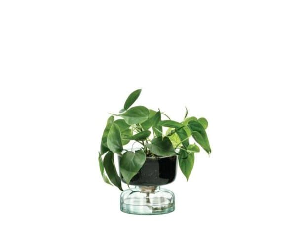 CANOPY CQ15 / CQ16 / CQ17 vase By LSA International