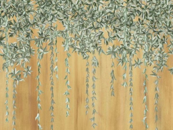 HEDERA Wallpaper By CASAMANCE