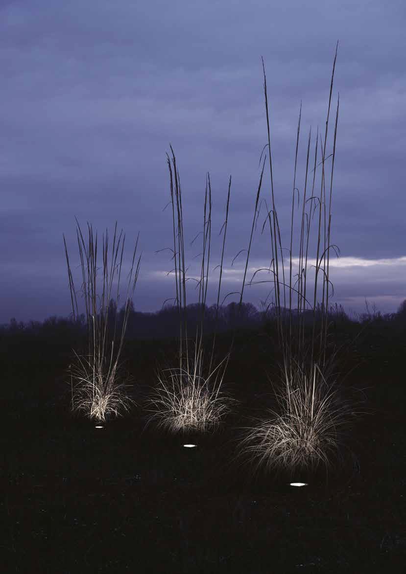 CHARA LED walkover light steplight By Cariboni group