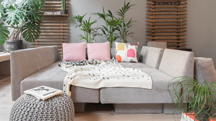 CHOICE 16 Sofa By FEYDOM