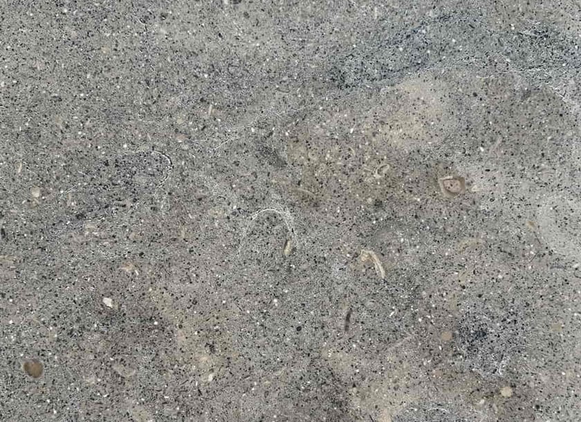 MSN Shower tray By COCOON