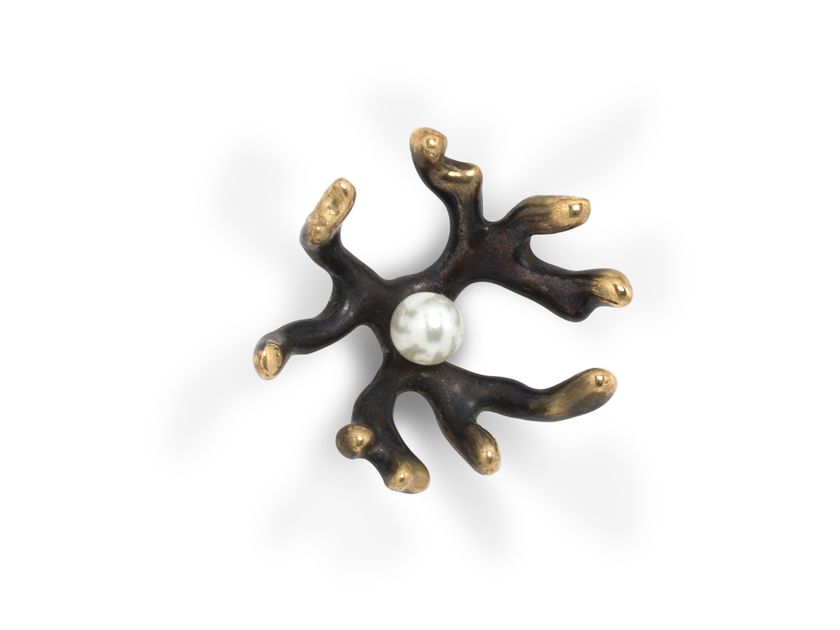 Pomello in ottone CODIUM OC2018 By PullCast