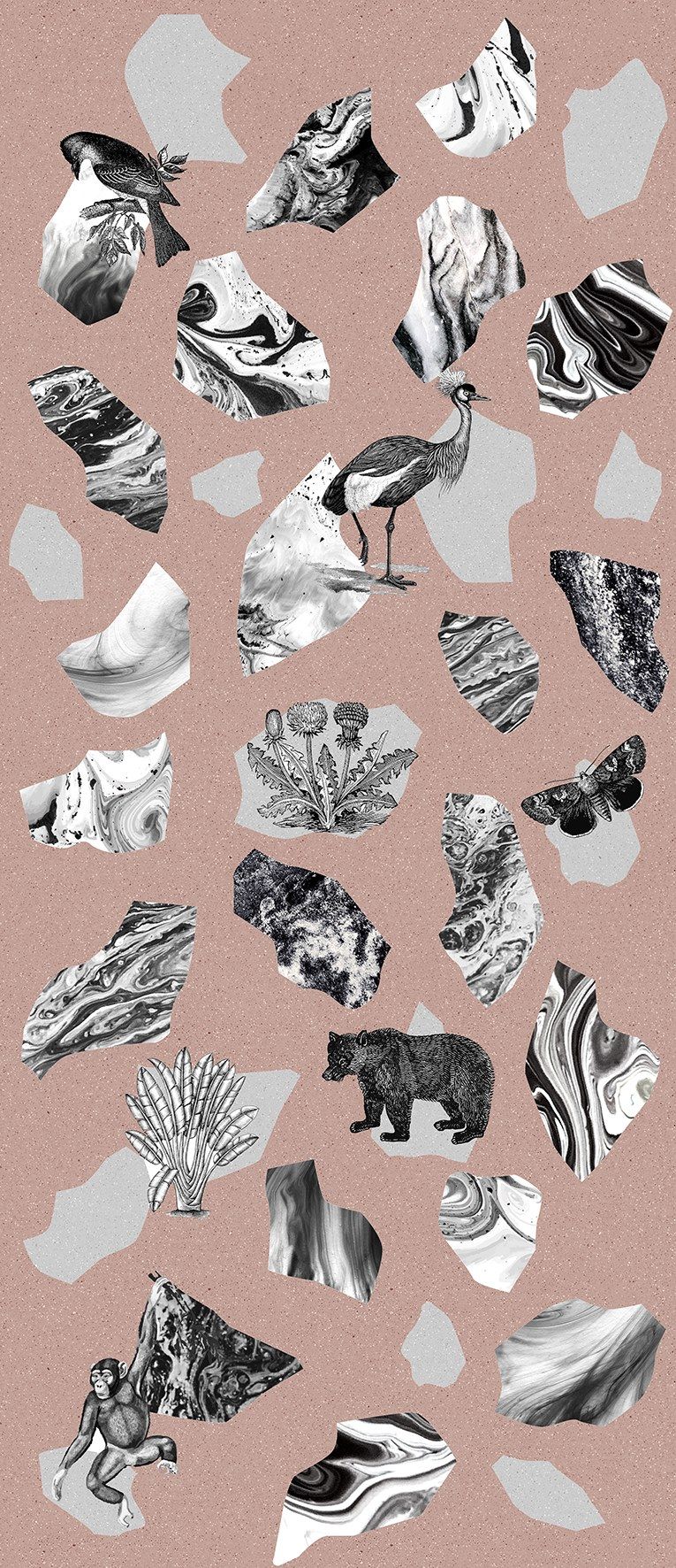 Revestimiento de pared de gres porcelánico esmaltado COLLAGE By ORNAMENTA