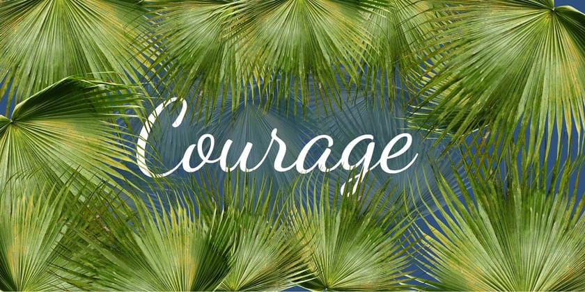 Washable wallpaper CORAGGIO Wallpaper 2019 Collection By Creativespace ...