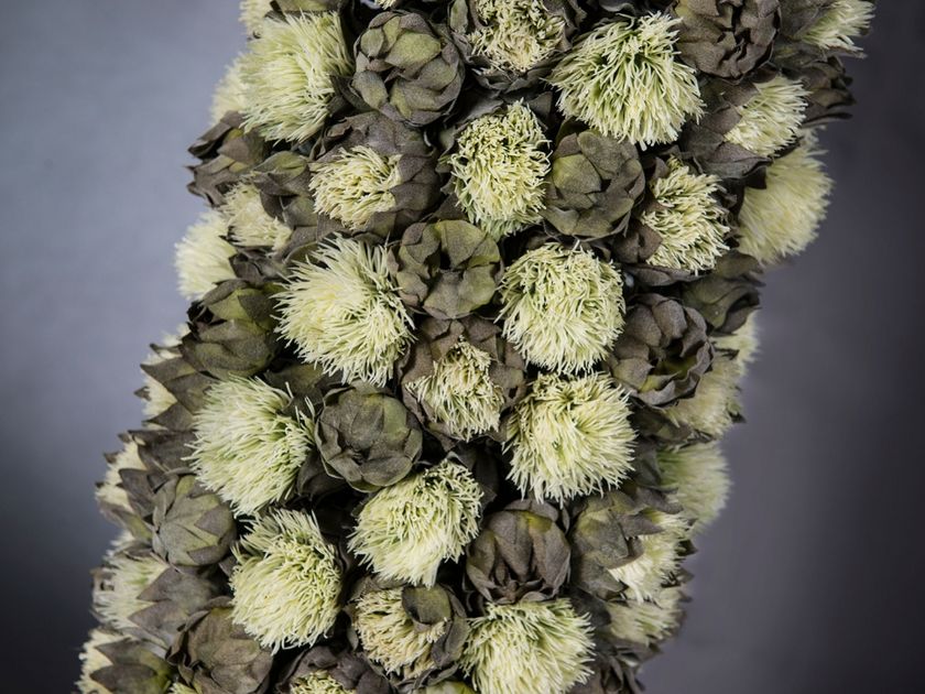 CYNAR Artificial plant By VGnewtrend