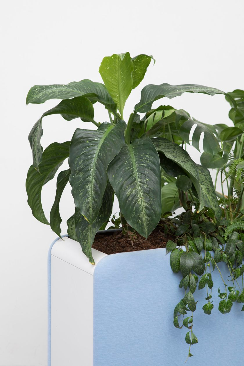 PILLOW SPACE Planter By Cascando