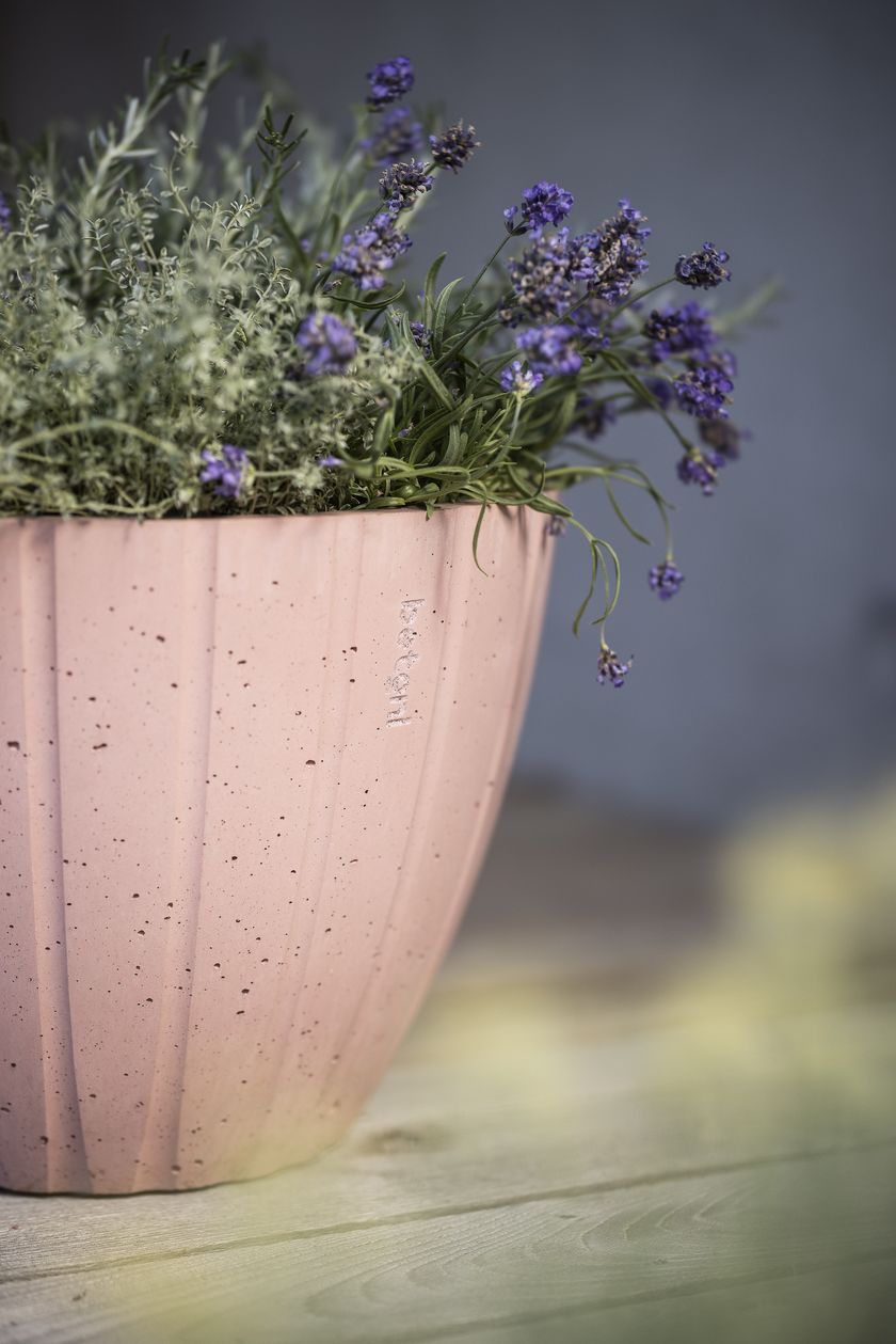 DECOR M Pot de fleurs By Betoni