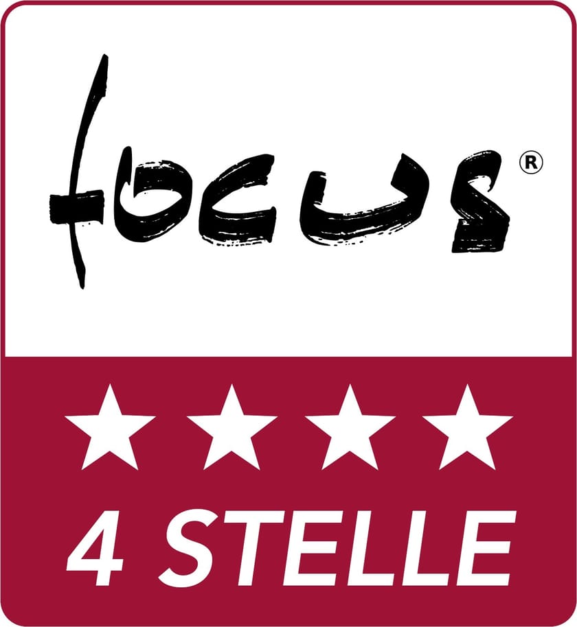 Wood-burning hanging steel fireplace DOMOFOCUS VETRATO Domofocus Collection By Focus creation ...