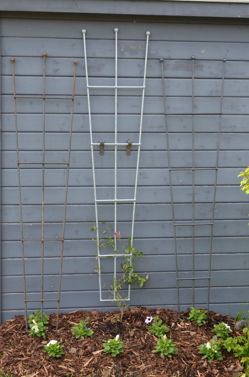 BARI Vertical gardening trellis By ELEO