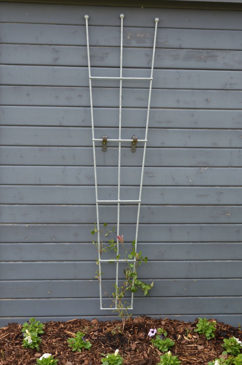 BARI Vertical gardening trellis By ELEO