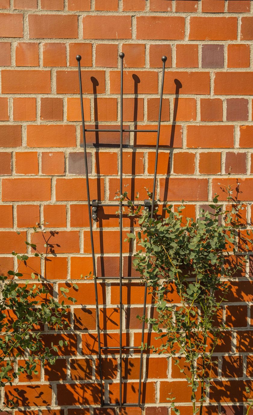 Bari Vertical Gardening Trellis By Eleo