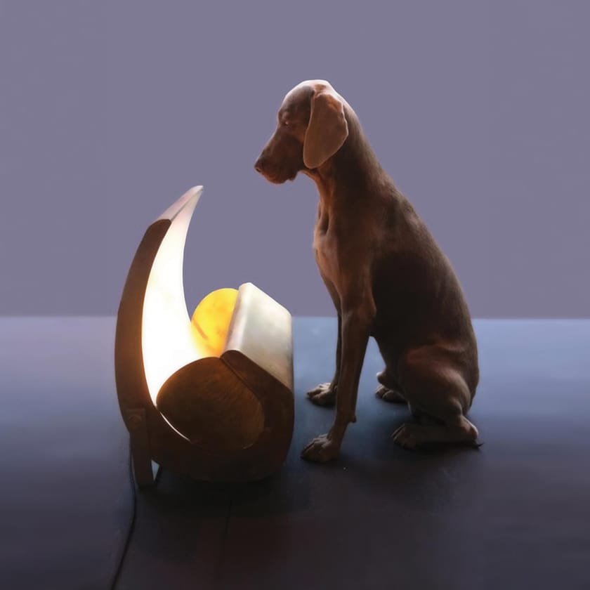 ESCARGOT Floor lamp By NEMO | design Le Corbusier