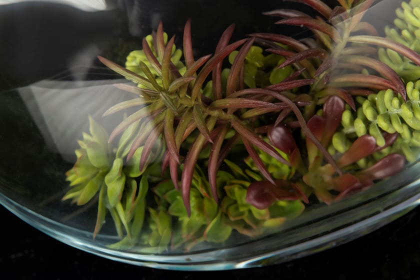 Florero / Planta artificiale ETERNITY OVAL Colección Eternity By VGnewtrend