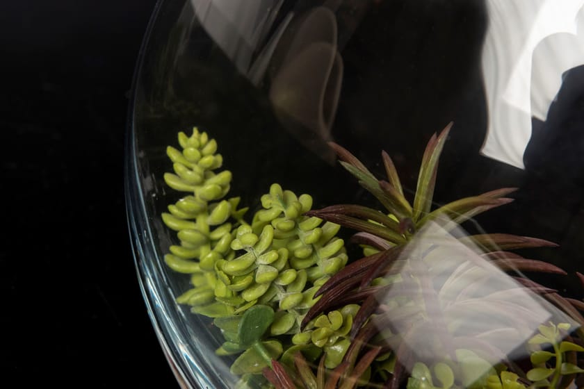 Florero / Planta artificiale ETERNITY OVAL Colección Eternity By VGnewtrend