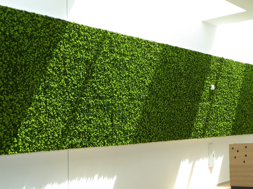 Muro vegetal de musgo EVERGREEN PREMIUM MOSS COLOR COMBINATION By ...