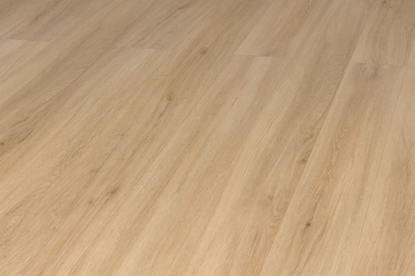 EVOLUTION TACK DRY PLUS Pavimento resiliente de LVT imitación madera By ...