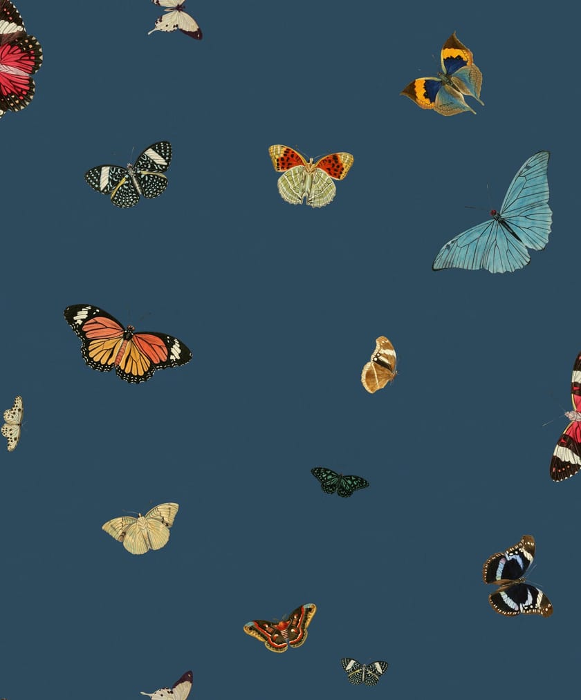 FEATHERS 壁纸 By AGENA | design Darlingmind Studio & Agena Studio