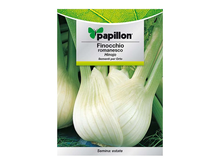 FINOCCHIO ROMANESCO By PAPILLON