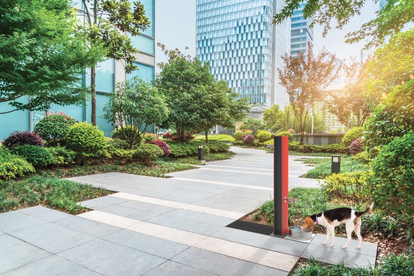 Steel Floor fountain FONTIS DOG By City Design