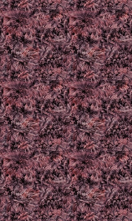 FREAKY FUR Papel de parede By Wall&decò