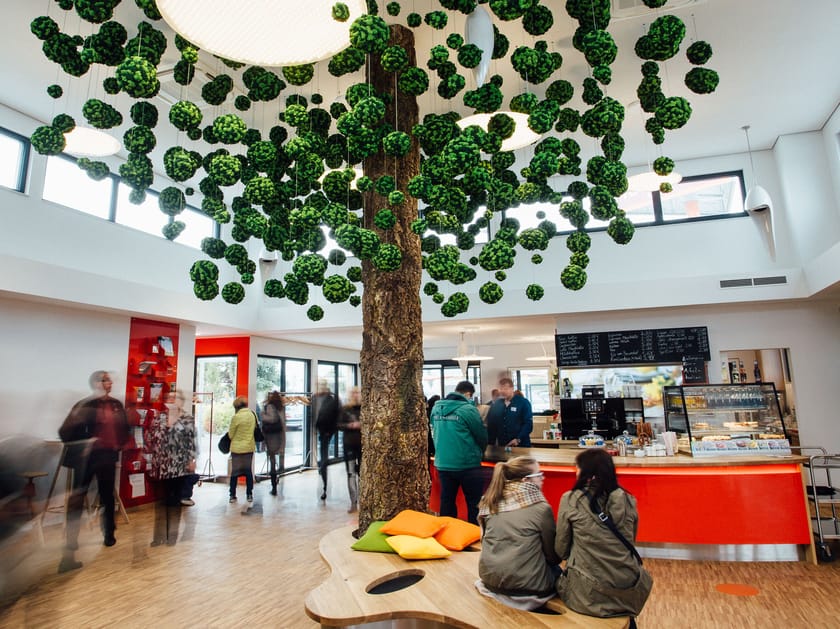 MOSS ACOUSTIC ABSORBEREN Acoustic wall panel By Freund GmbH