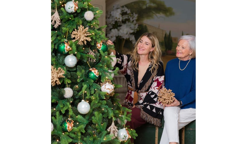 PREILLUMINATED TREE - ROMANTIC FIR Artificial plant By GIULIA GRILLO