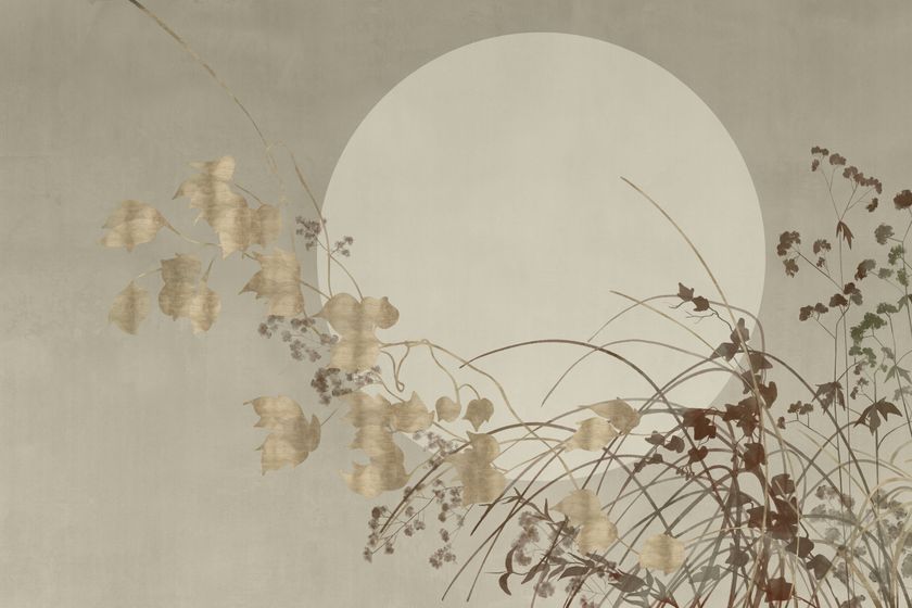 FLOR DE LUNA 壁纸 By GLAMORA