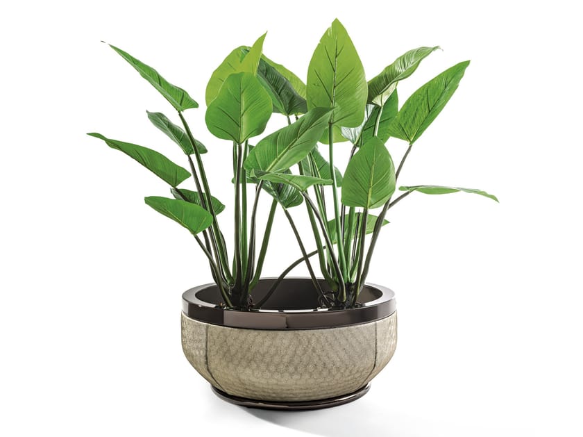 GODWIN CACHEPOT Round plant pot By Longhi | design Giuseppe Iasparra