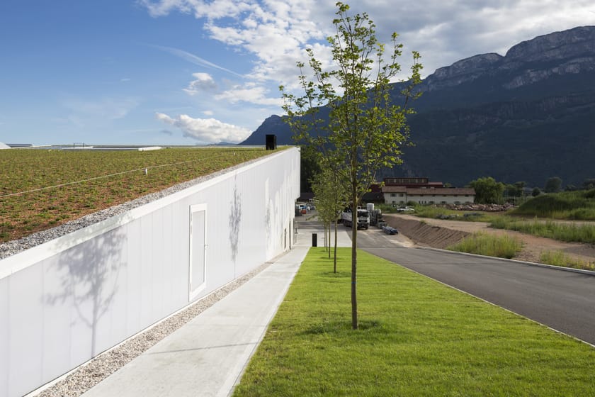 Prefabricated bituminous membrane GREEN ROOF By POLYGLASS