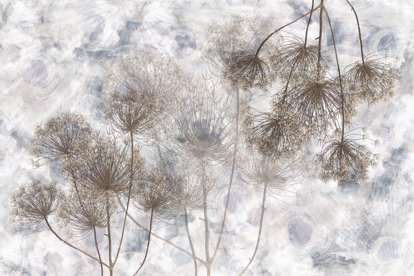 ADAMINA Wallpaper By Instabilelab